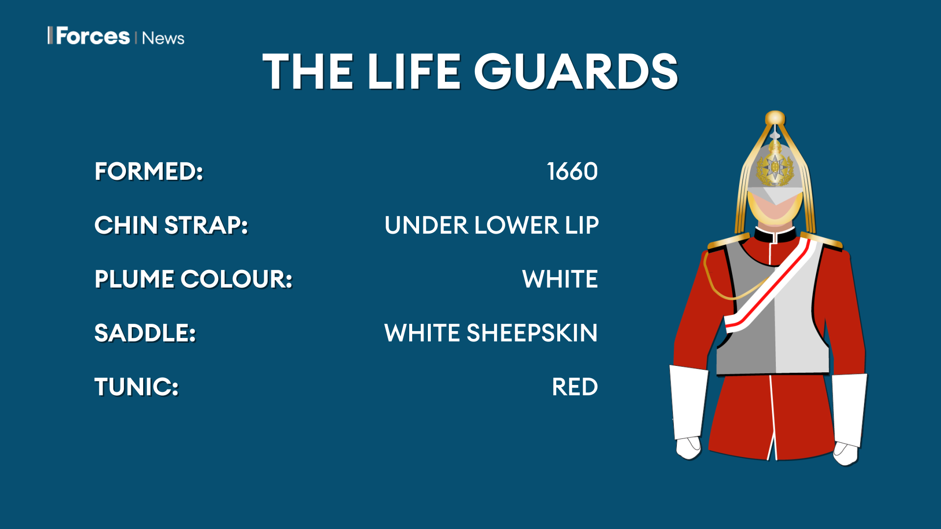 Know your uniforms: The seven regiments of the Household Division explained